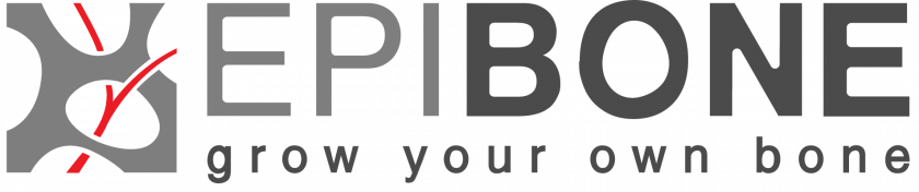 EpiBone forscht mit 3D-Druck am Knochenwachstum außerhalb des Körpers ...