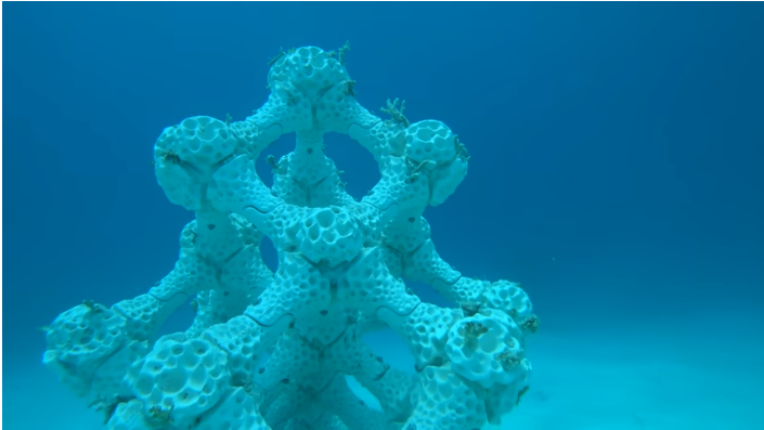 Weltweit größtes Korallenriff aus dem 3D-Drucker jetzt auf den Malediven