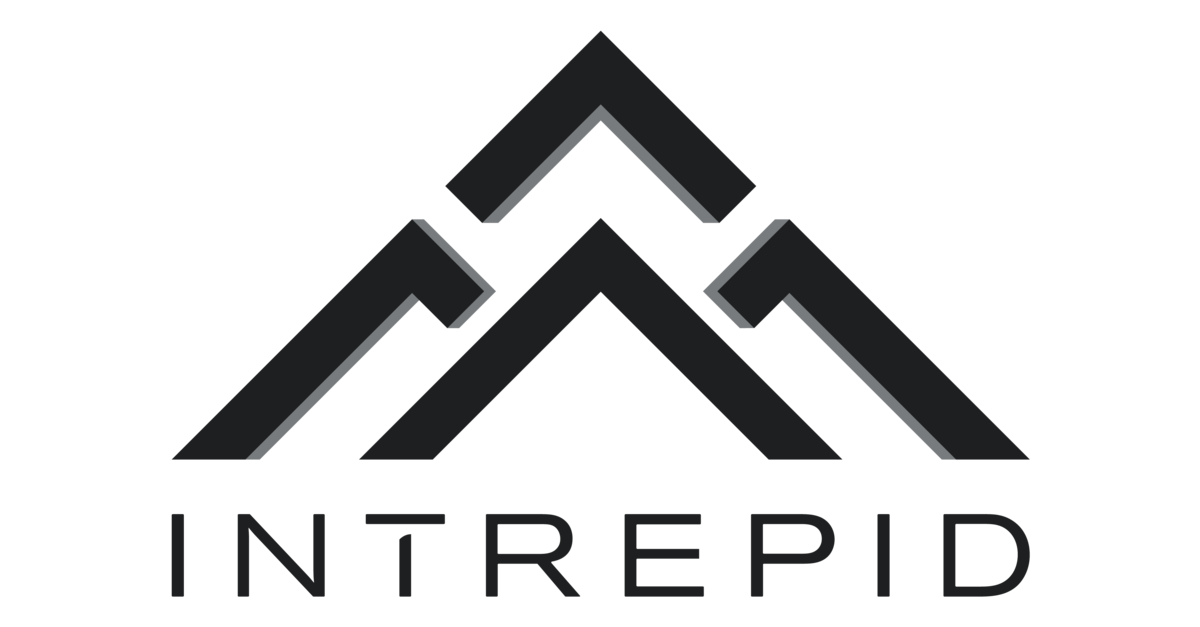 Intrepid Automation großformatigen mDLP-3D-Drucker "Valkyrie" vor