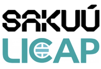 US-Unternehmen Sakuu Corporation unterzeichnet MoU mit LiCAP ...