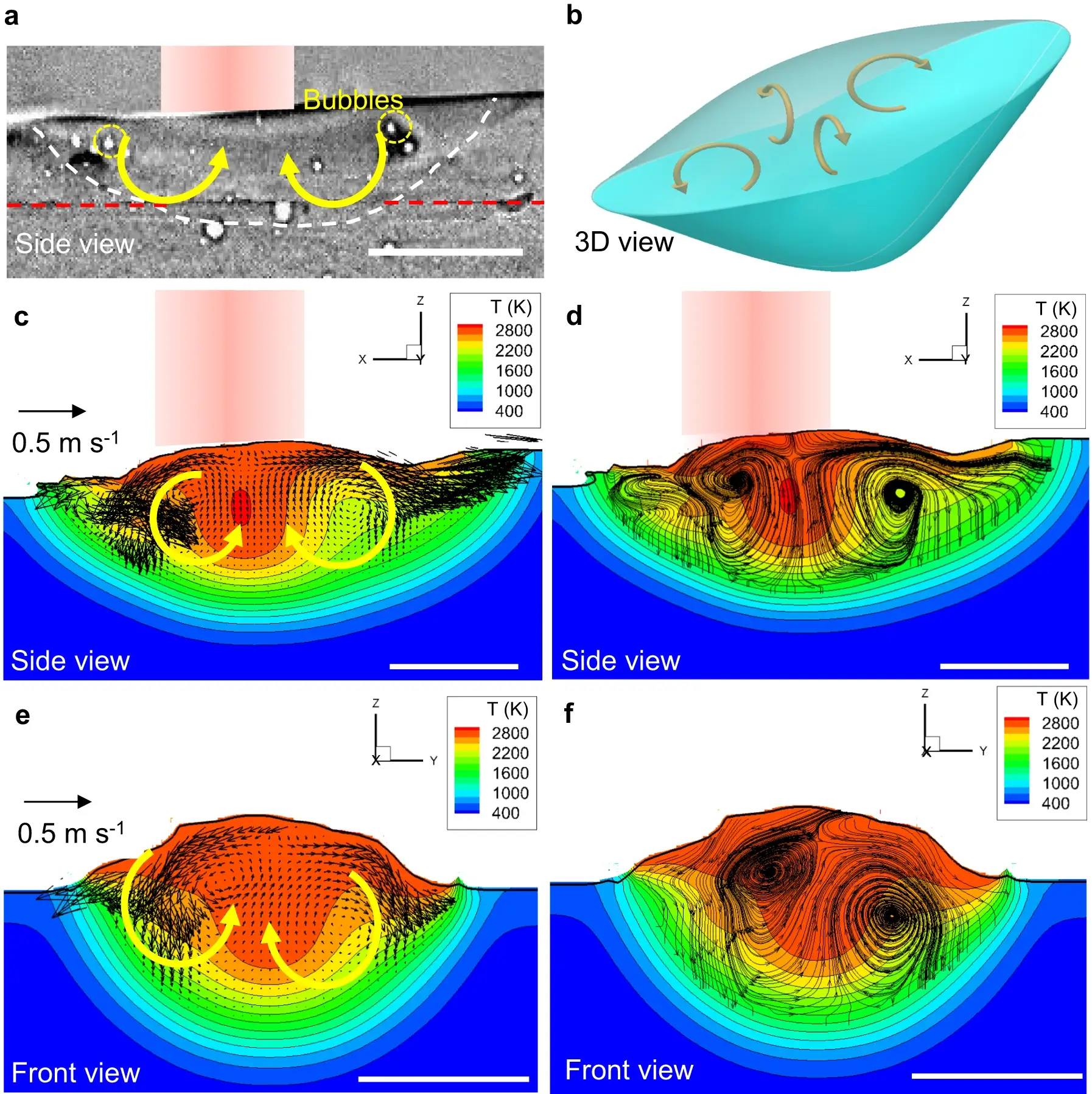 Forschern gelingt Entschlüsselung der Porenentwicklung im DED-3D-Druckverfahren