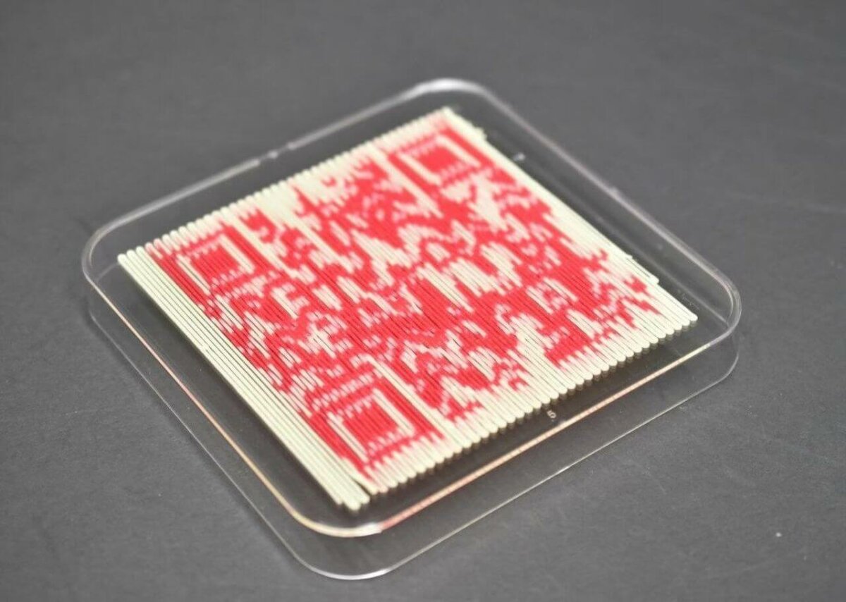 SUTD-Forscher stellen essbare QR-Codes mit Lebensmittel-3D-Drucker her